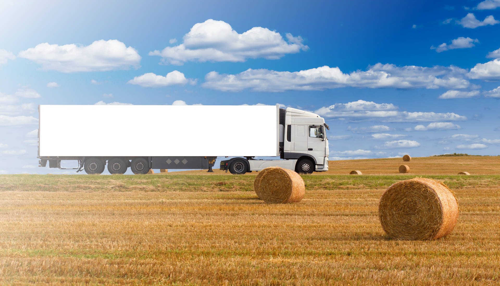 EMAX-PLUS » Strona główna